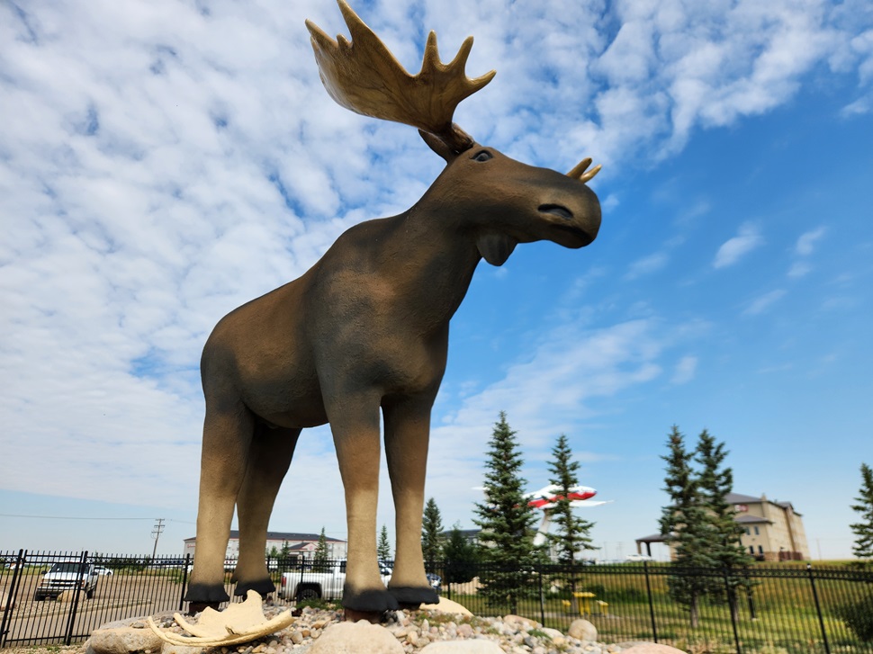 It's Mac the Moose's 40th birthday party this Friday! - DiscoverMooseJaw.com - Local news ...